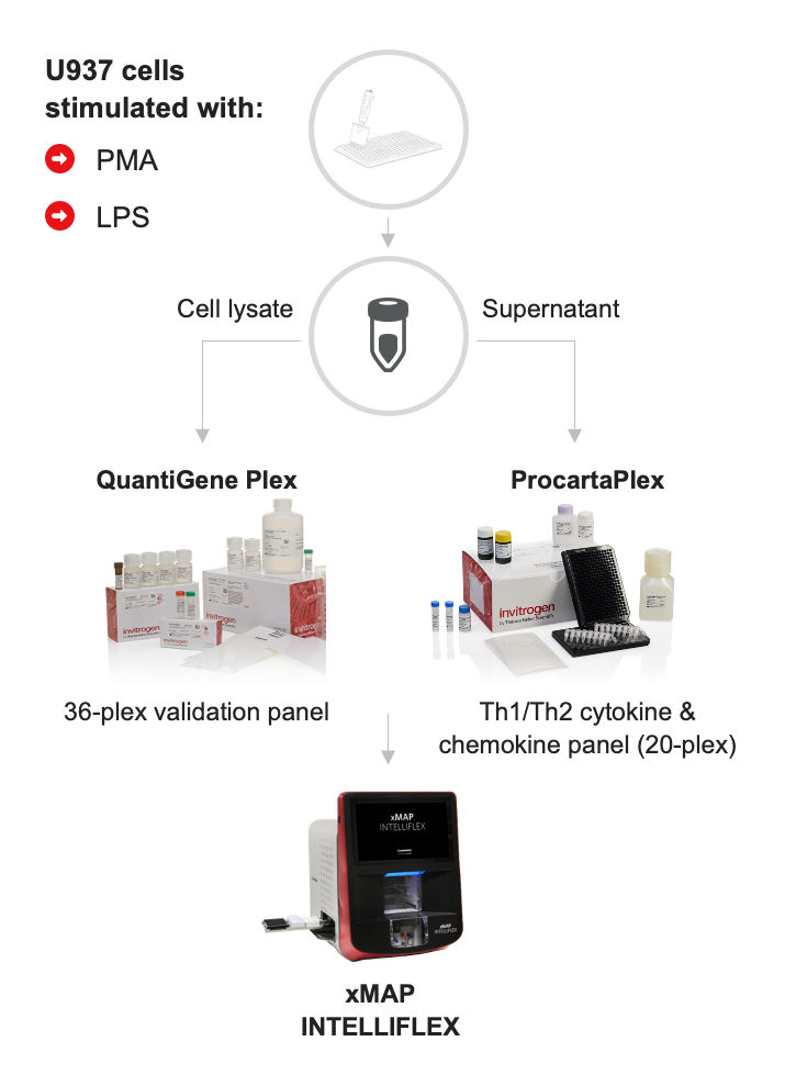 Automation Solutions for Luminex Systems | Thermo Fisher Scientific - UK