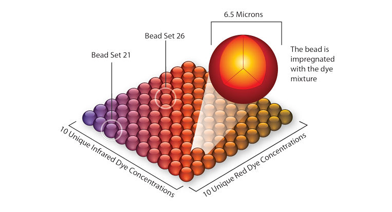 Luminex Instruments and Multiplex Assays | Thermo Fisher Scientific - CA