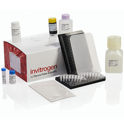 Automation Solutions for Luminex Systems | Thermo Fisher Scientific - US