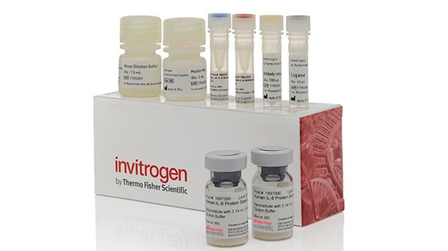 ProcartaPlex Immunoassays | Thermo Fisher Scientific - BR