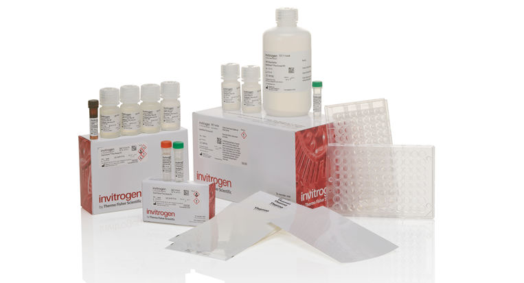 ProcartaPlex Immunoassays | Thermo Fisher Scientific - IN