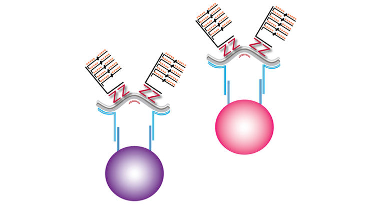 Luminex Instruments and Multiplex Assays | Thermo Fisher Scientific - CA