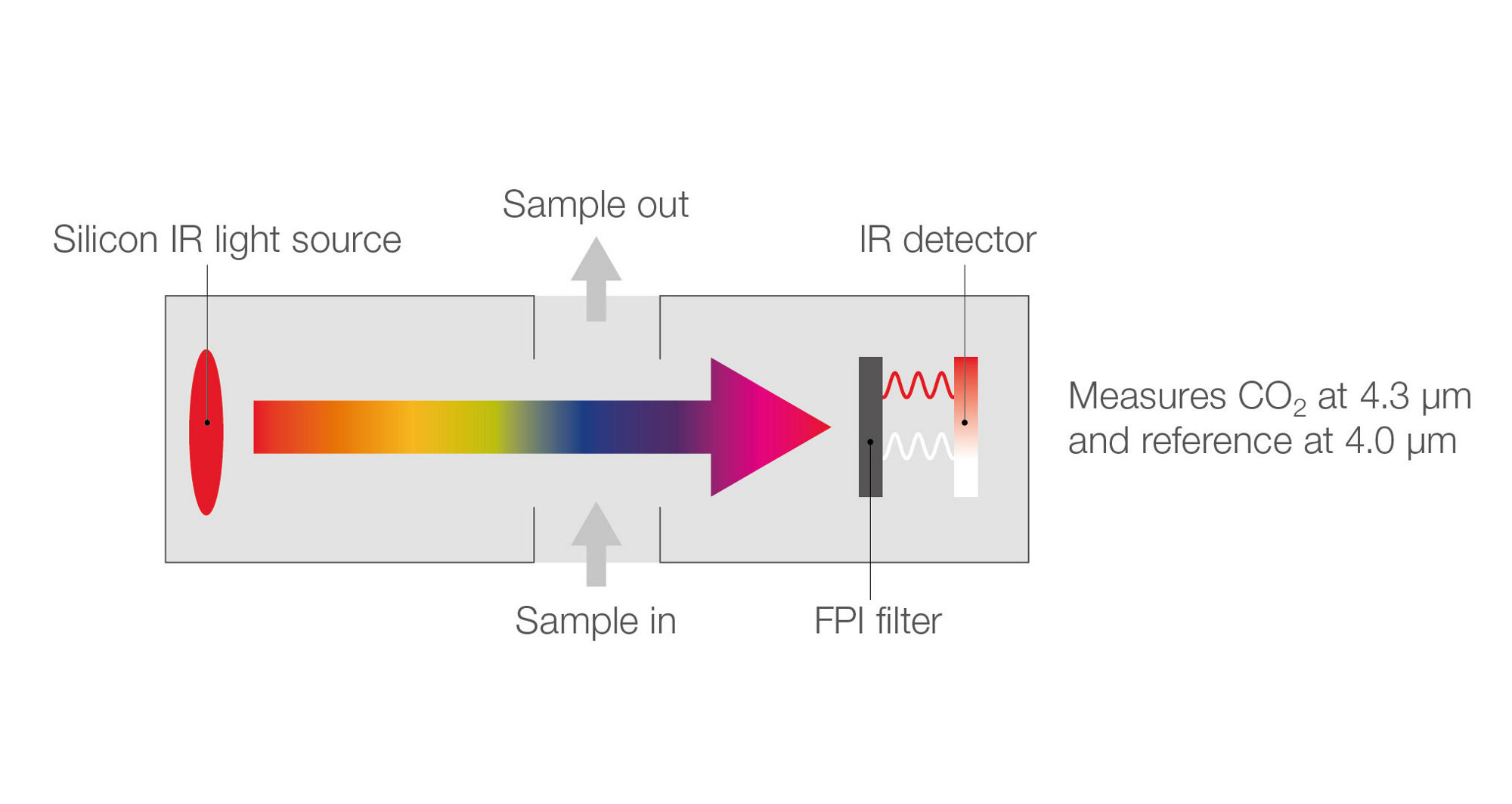 CO₂ Incubators Features | Thermo Fisher Scientific - SG