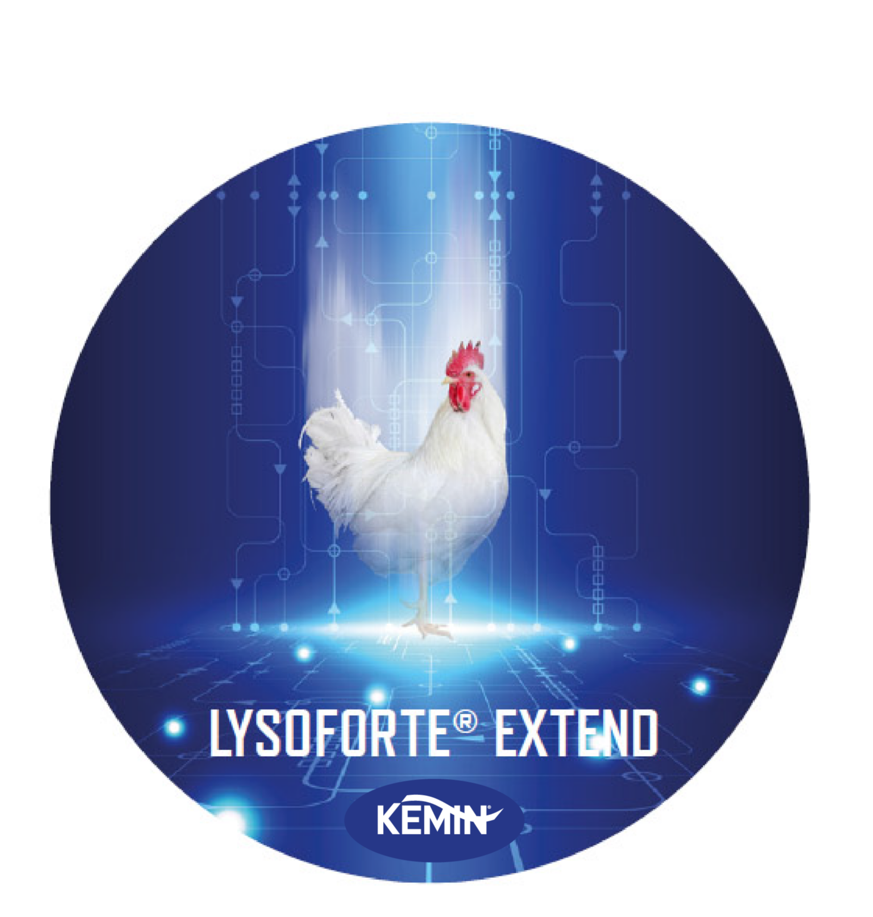LYSOFORTE™ Extend | Kemin Asia Pacific