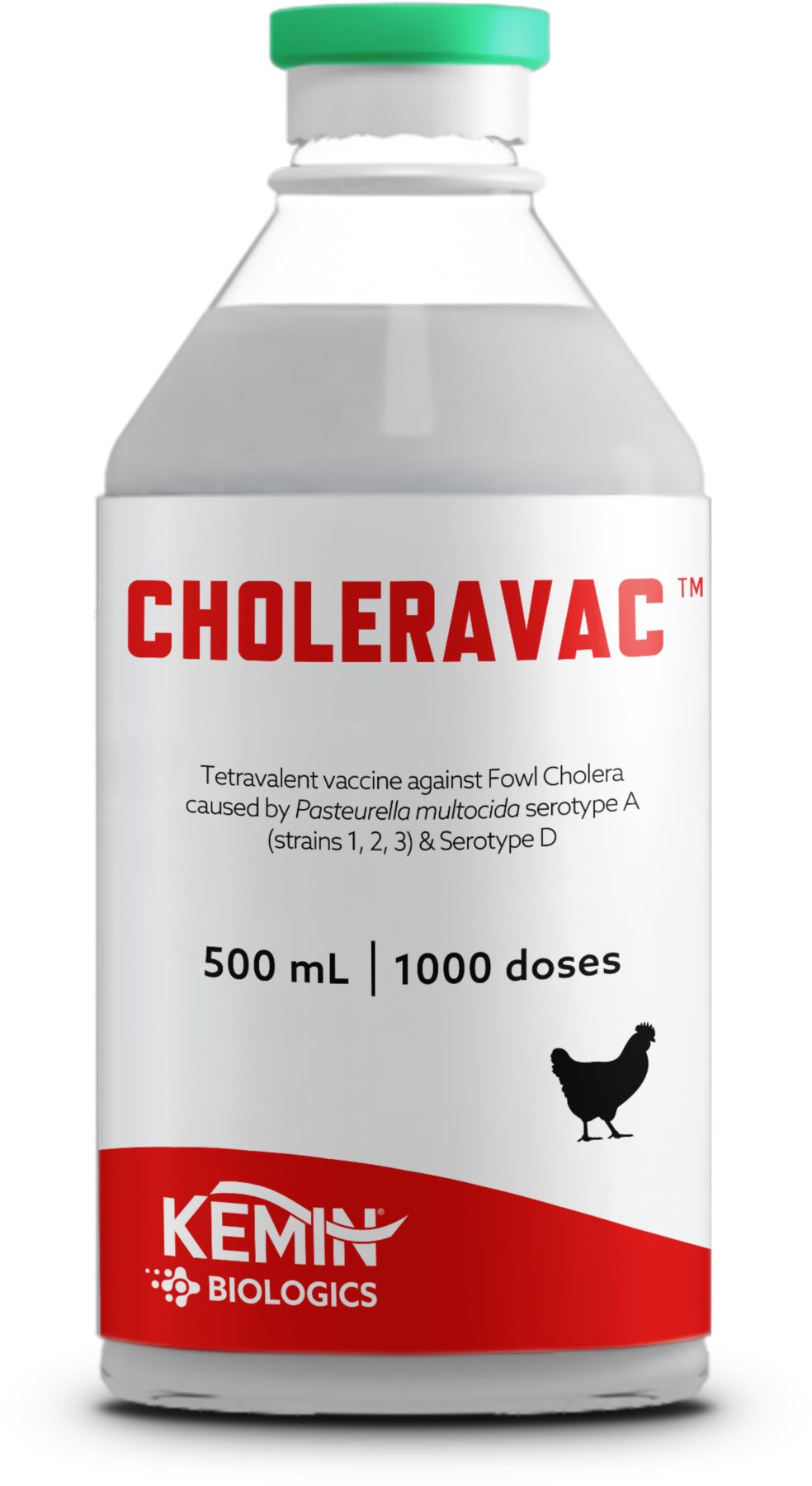 CHOLERAVAC™ | Immunization against Fowl Cholera | Kemin EMENA