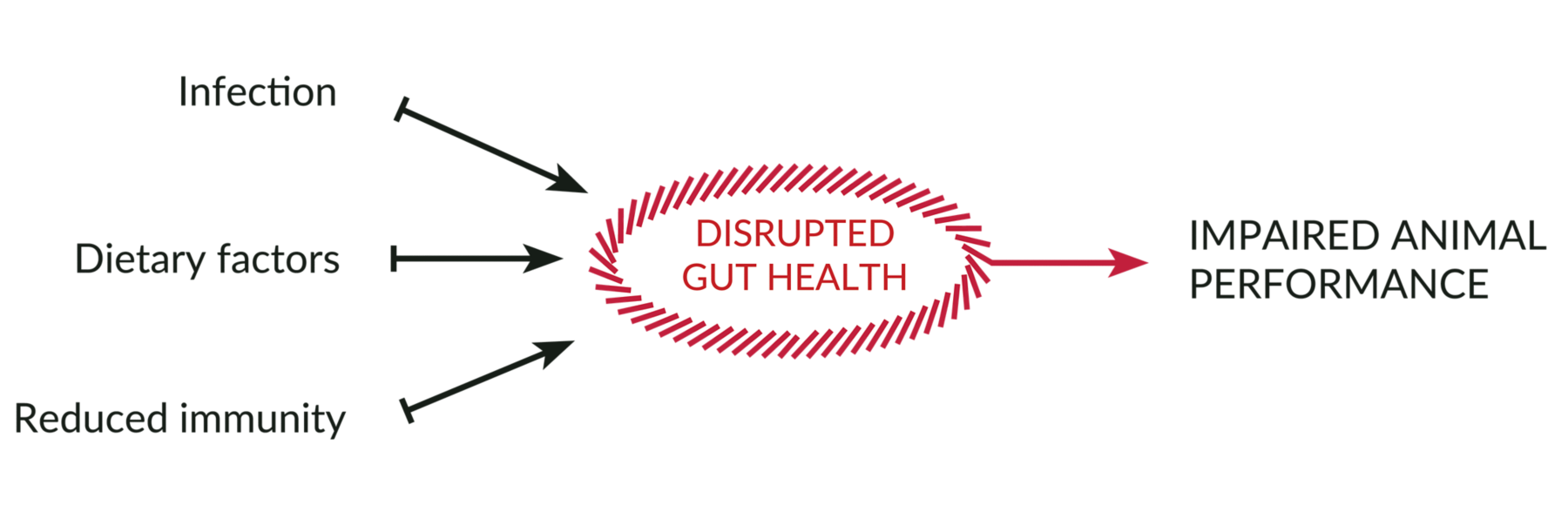 CLOSTAT™ | Kemin Asia Pacific