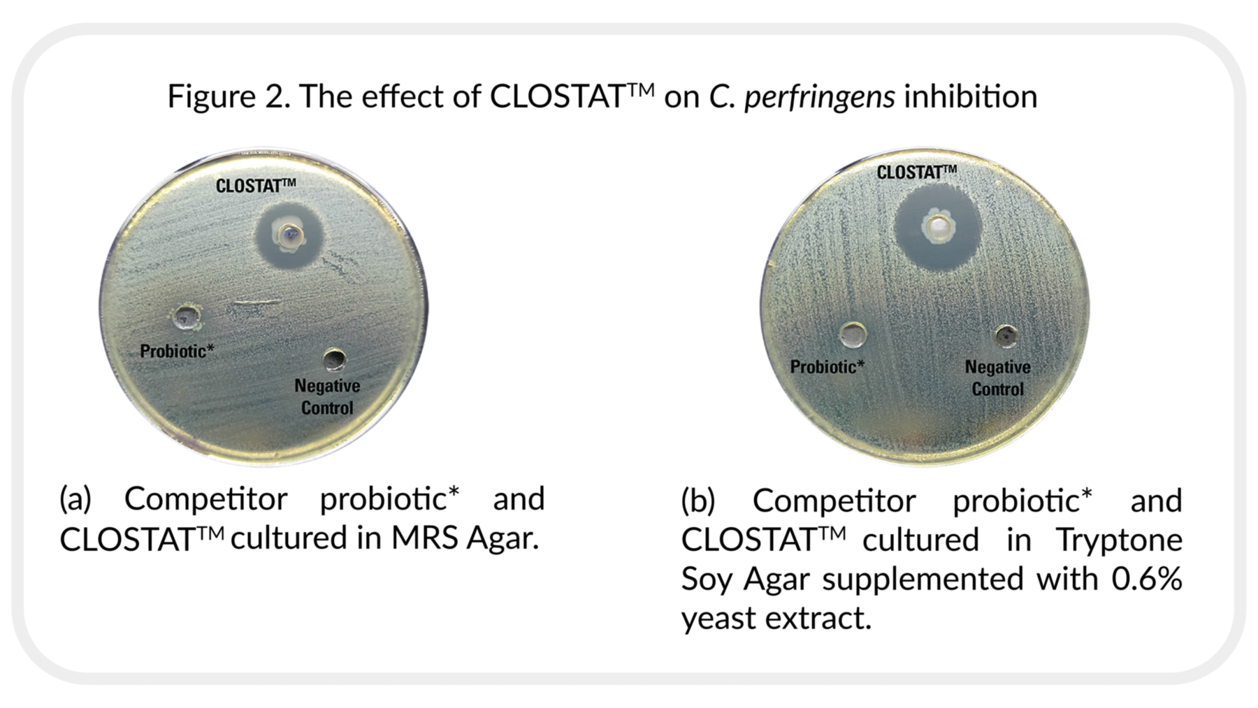 CLOSTAT™ | Kemin Asia Pacific