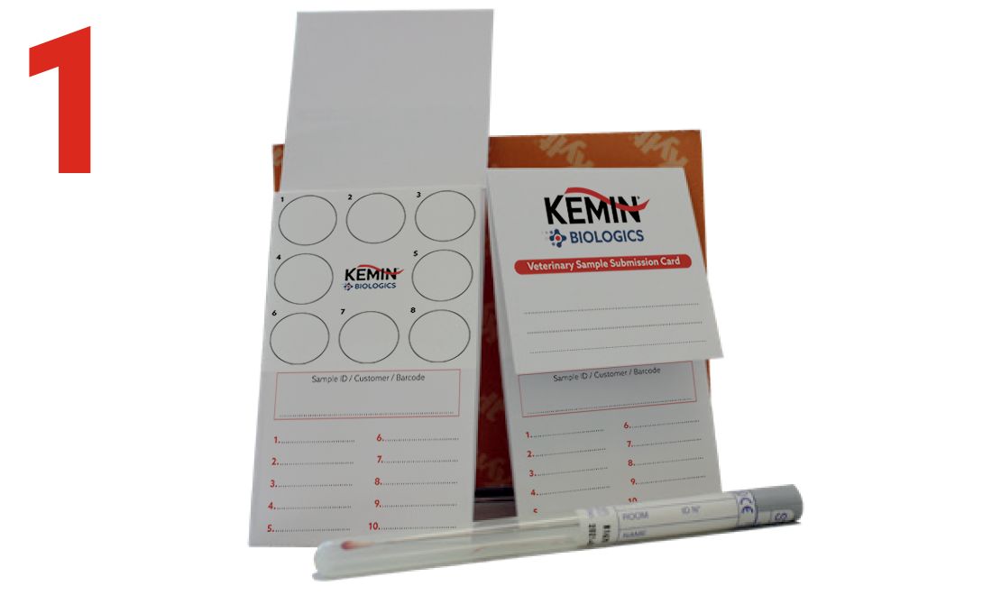 Request Your FTA Card to Submit Vet Diagnostic Samples | Kemin Asia Pacific
