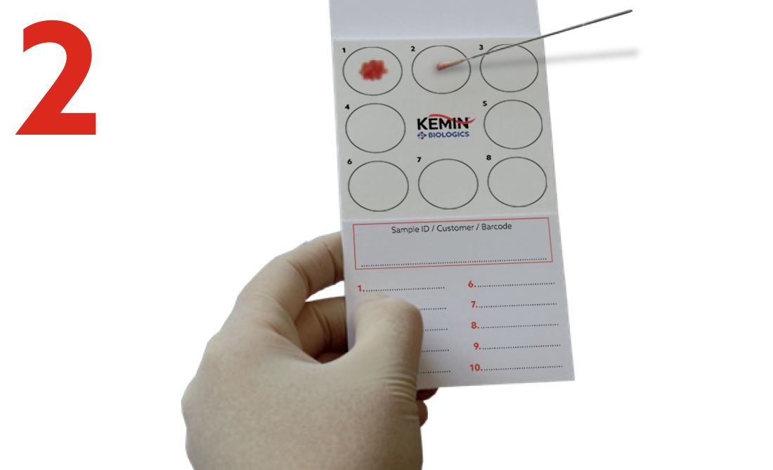 Request Your FTA Card to Submit Vet Diagnostic Samples | Kemin South Asia