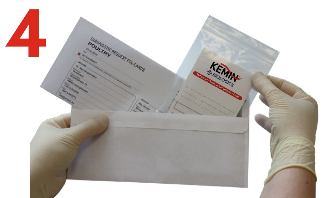 Request Your FTA Card to Submit Vet Diagnostic Samples | Kemin Asia Pacific