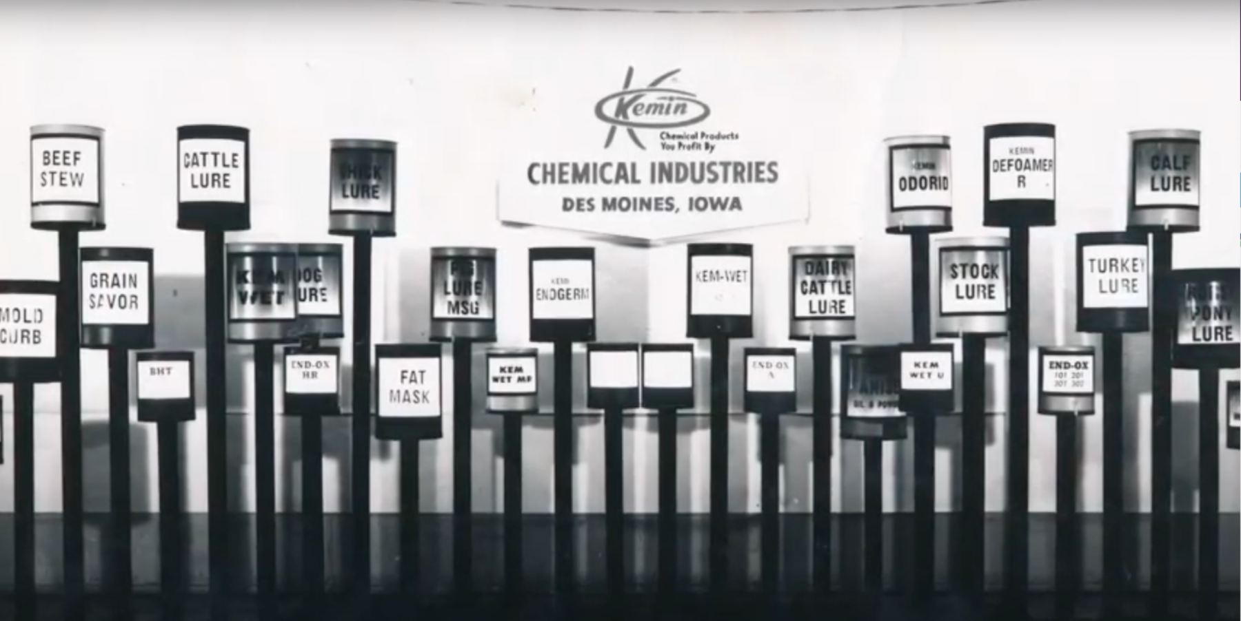 Kemin | Global Ingredient Supplier | Kemin Industries USA