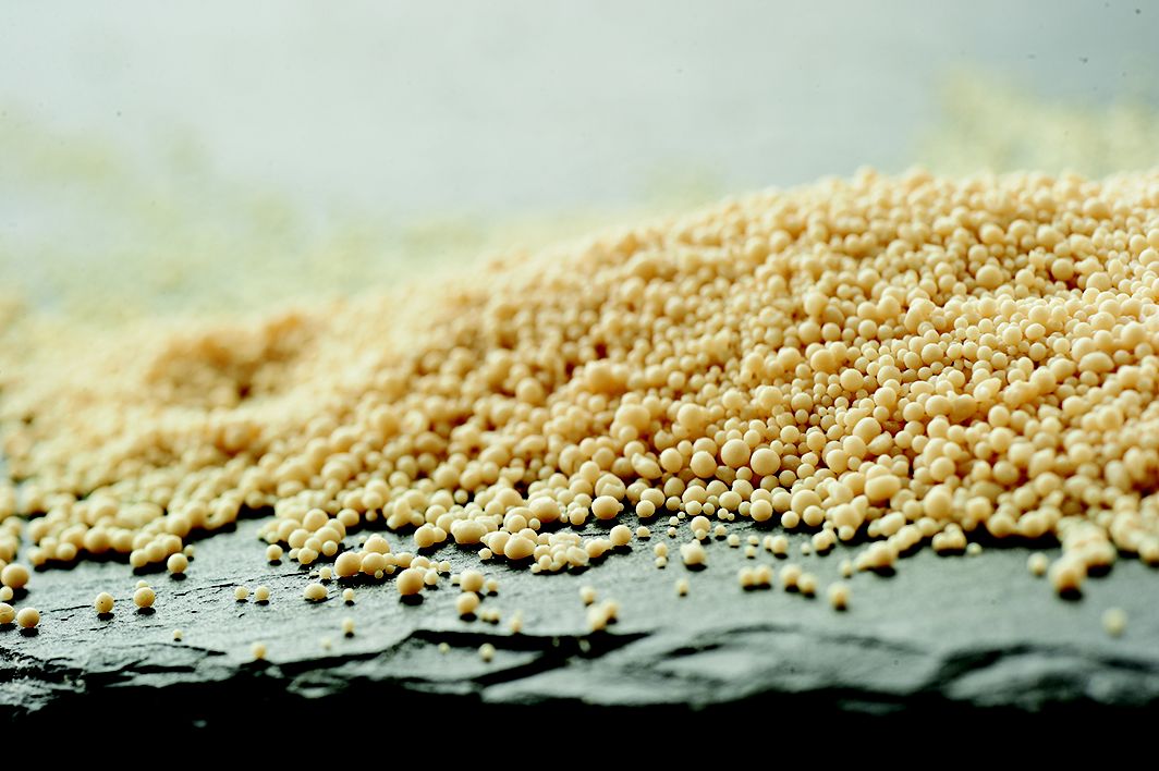 Kemin Encapsulation Technology | Kemin Animal Nutrition & Health