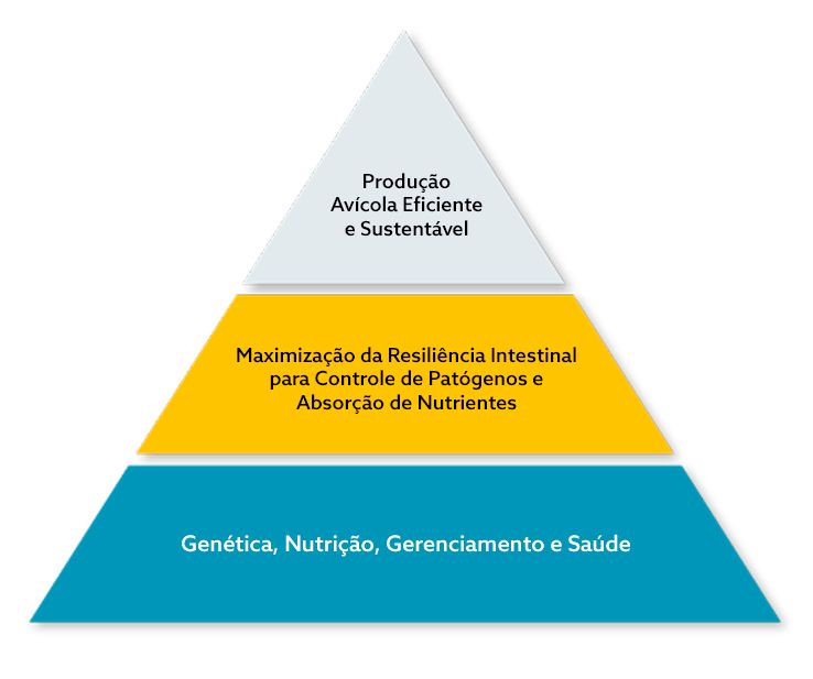 Probiótico Multi-Strain para Resiliência Intestinal | ENTEROSURE™