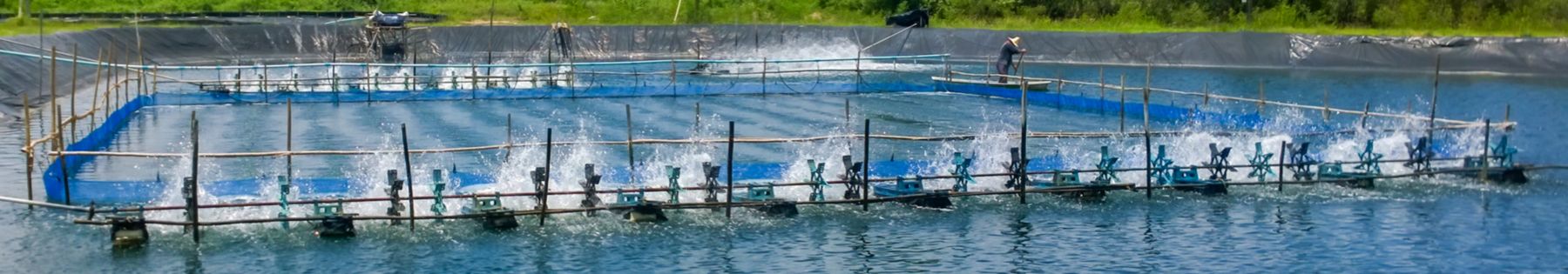 Contactanos | Kemin AquaScience