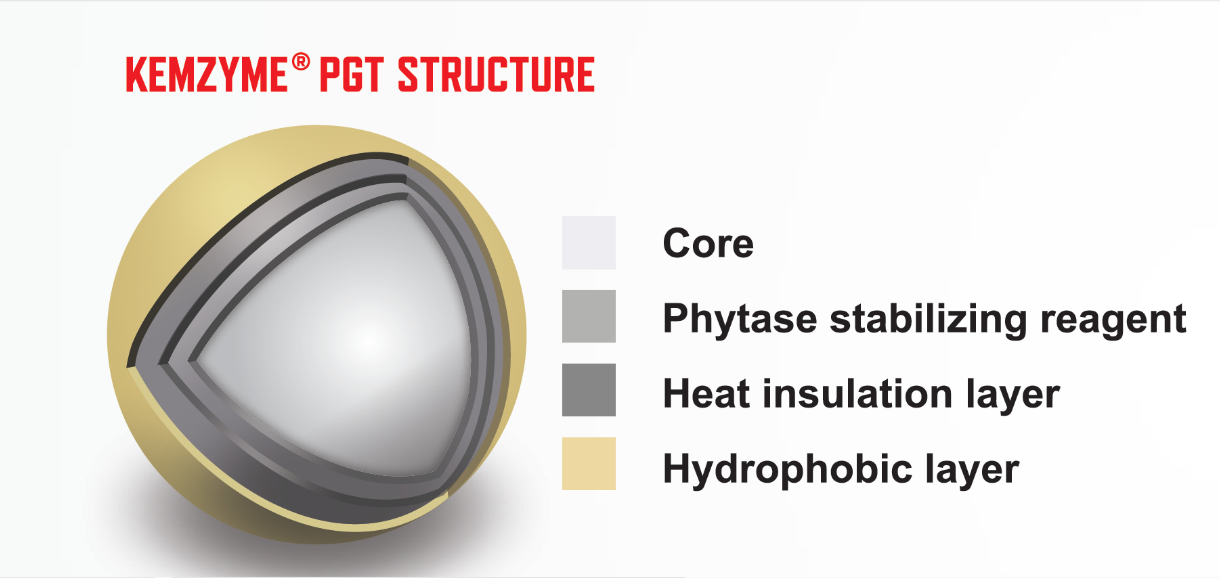 KEMZYME™ PGT | Enzyme for Animal Health | Poultry | Kemin India