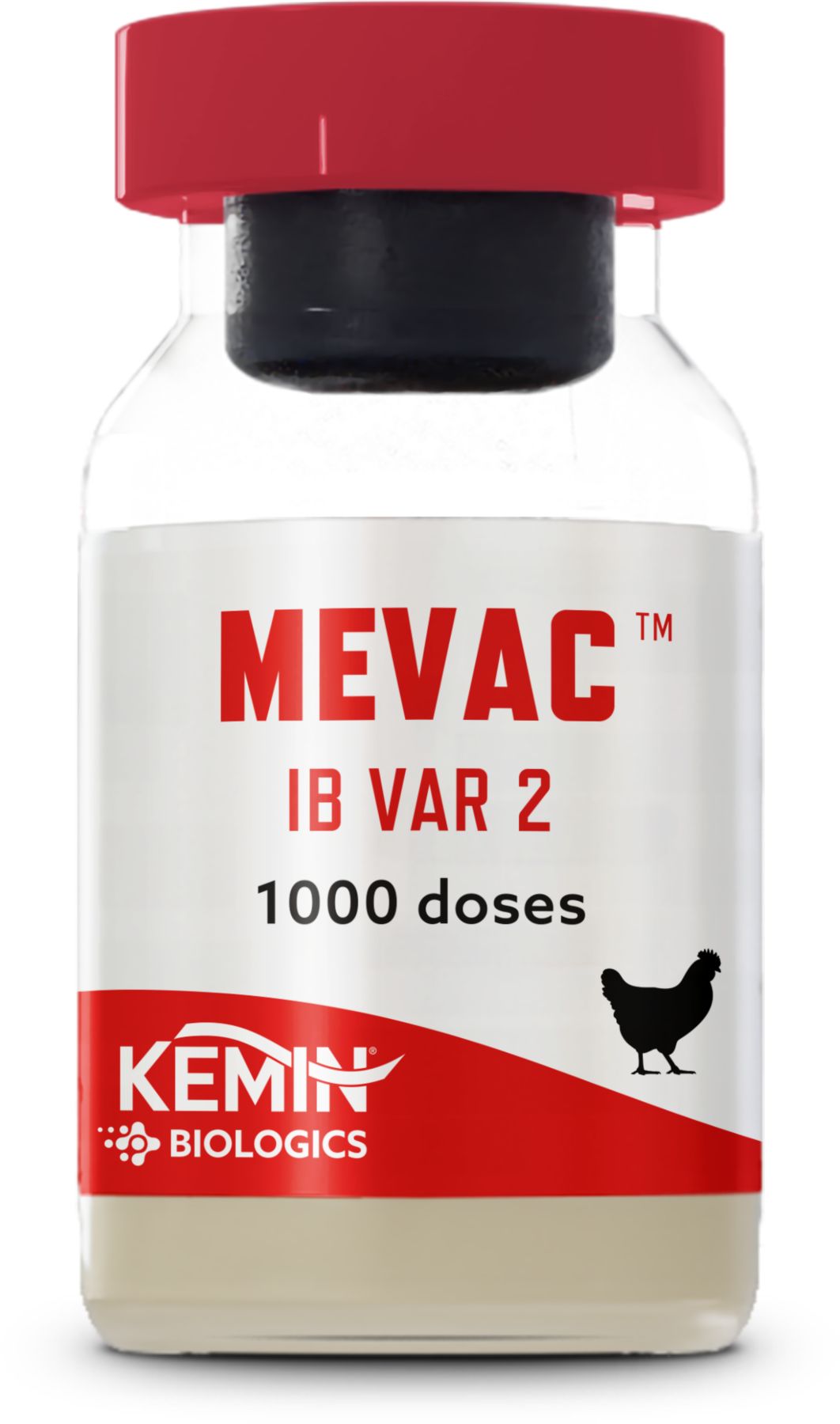 MEVAC™ IB VAR 2 | Poultry Respiratory Health | Kemin EMENA
