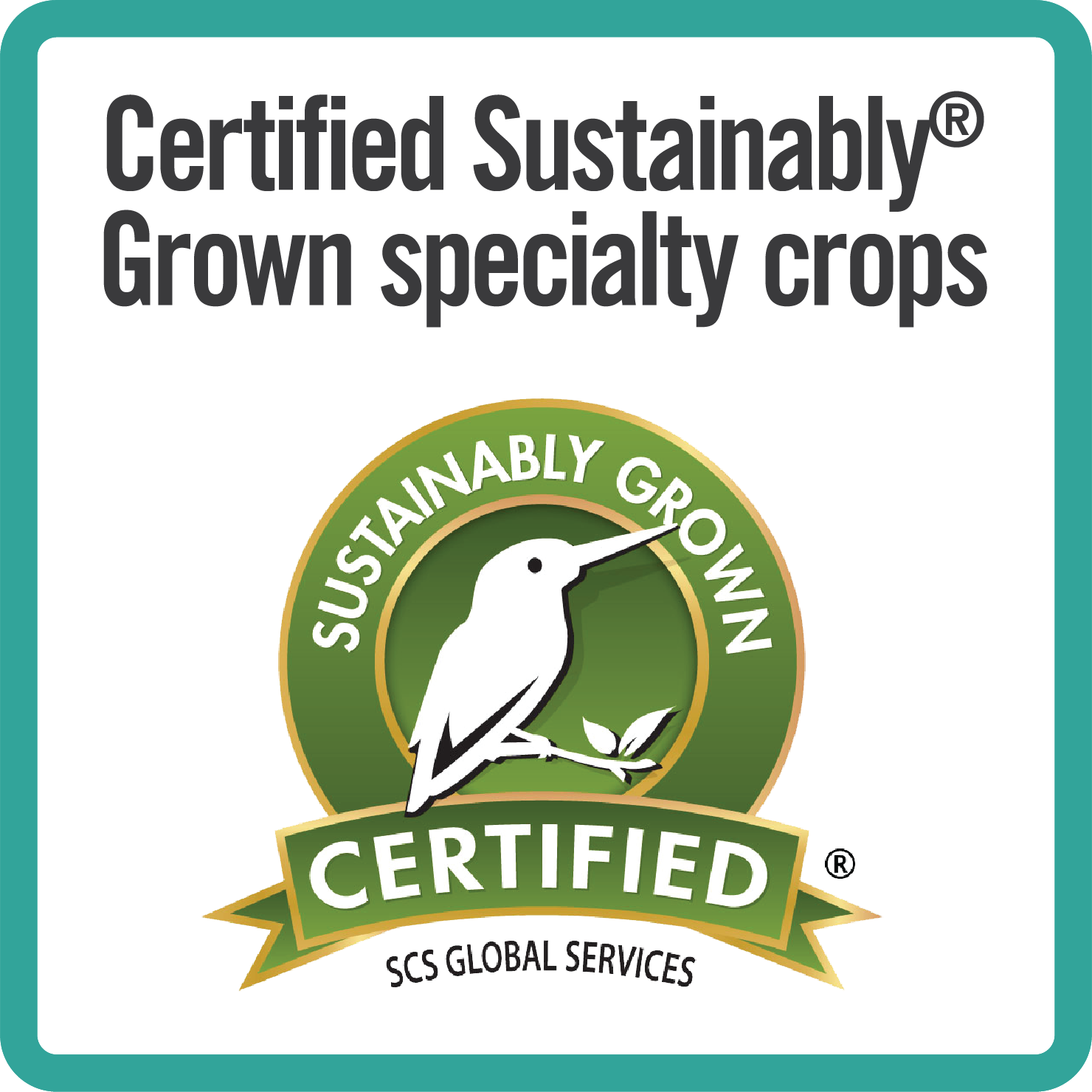 Corporate Sustainability & Social Responsibility | Kemin USA