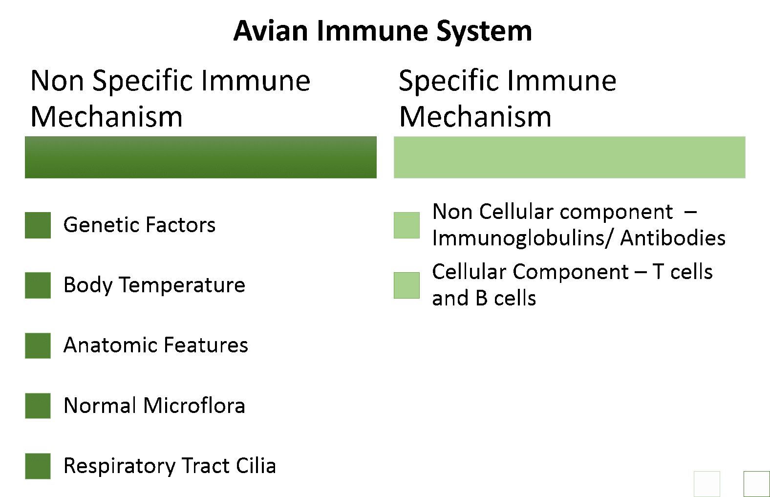 Immune Modulator | Animal Nutrition & Health | Kemin India