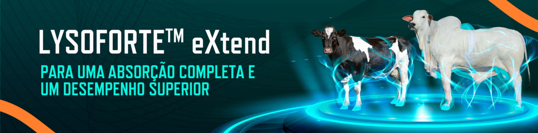 Kemin presenta estrategia nutricional para una alimentación siempre ...