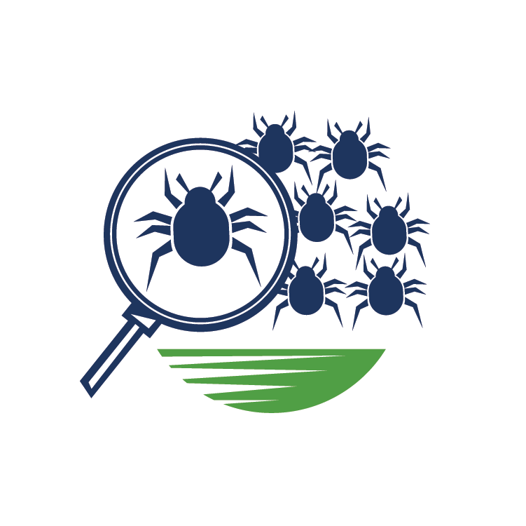 Six Tips For Building A Successful Pest Scouting Method