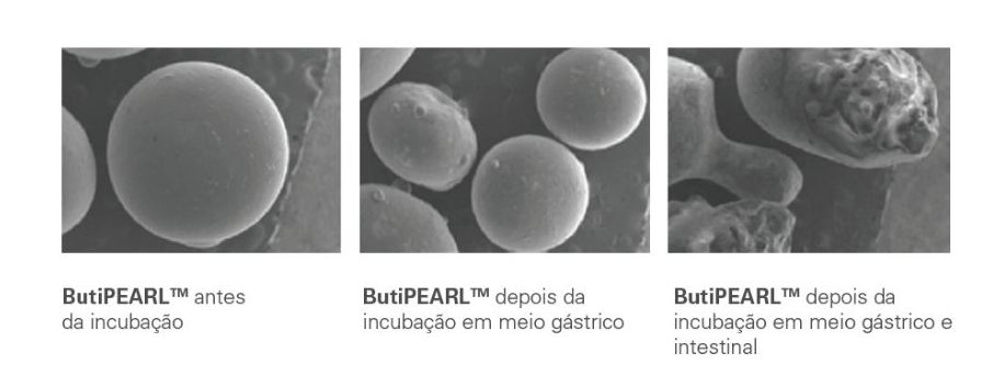 Fonte encapsulada de ácido butírico para suínos | ButiPEARL™