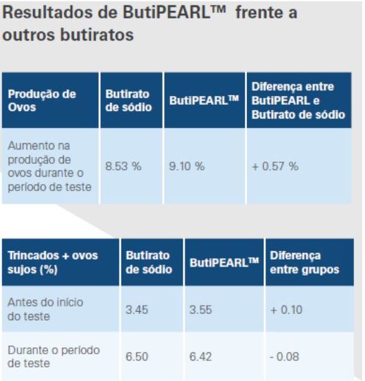 Fonte encapsulada de ácido butírico para aves | ButiPEARL™