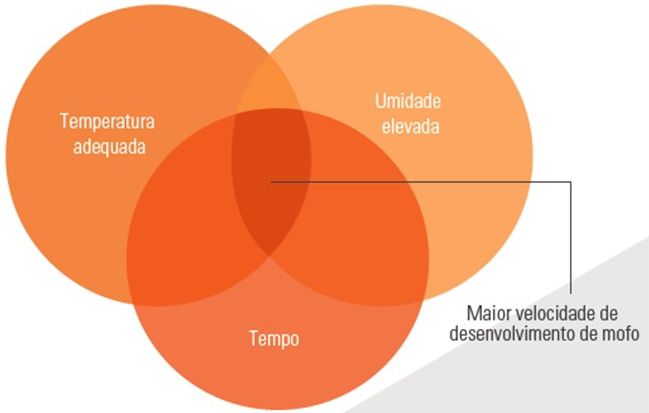 Aditivo conservante com proteção não corrosiva | Myco CURB®