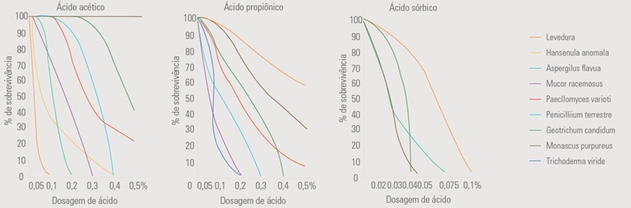 Aditivo conservante com proteção não corrosiva | Myco CURB®