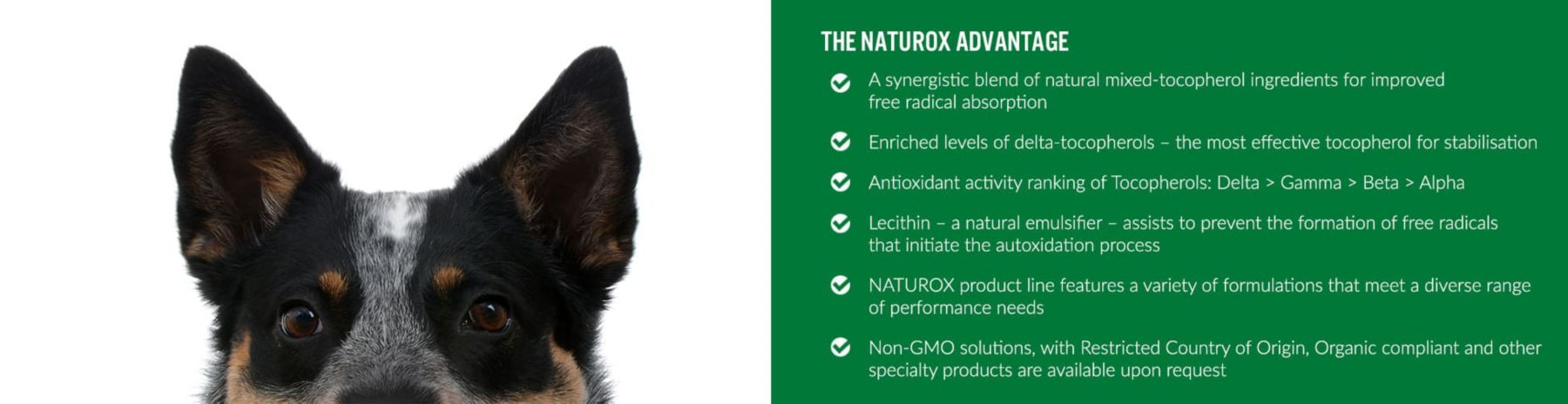 NATUROX® Natural Antioxidants for Pet Food | Kemin USA