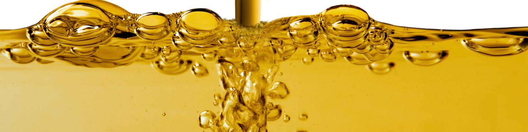 Efficient Nutrient Utilisation Solutions | Kemin Africa