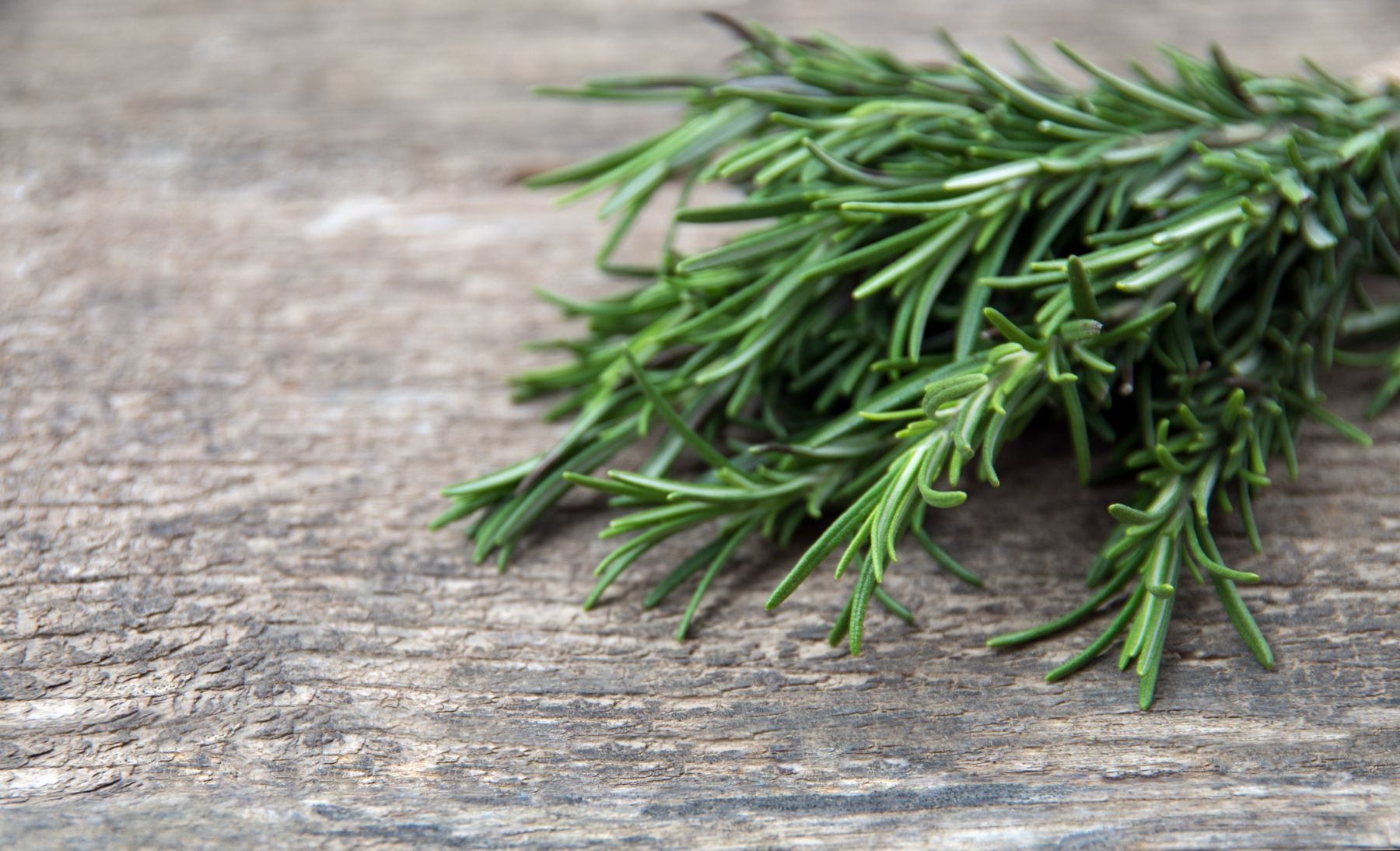 Helping Deliver a Clean Label Baking and Snack Oil