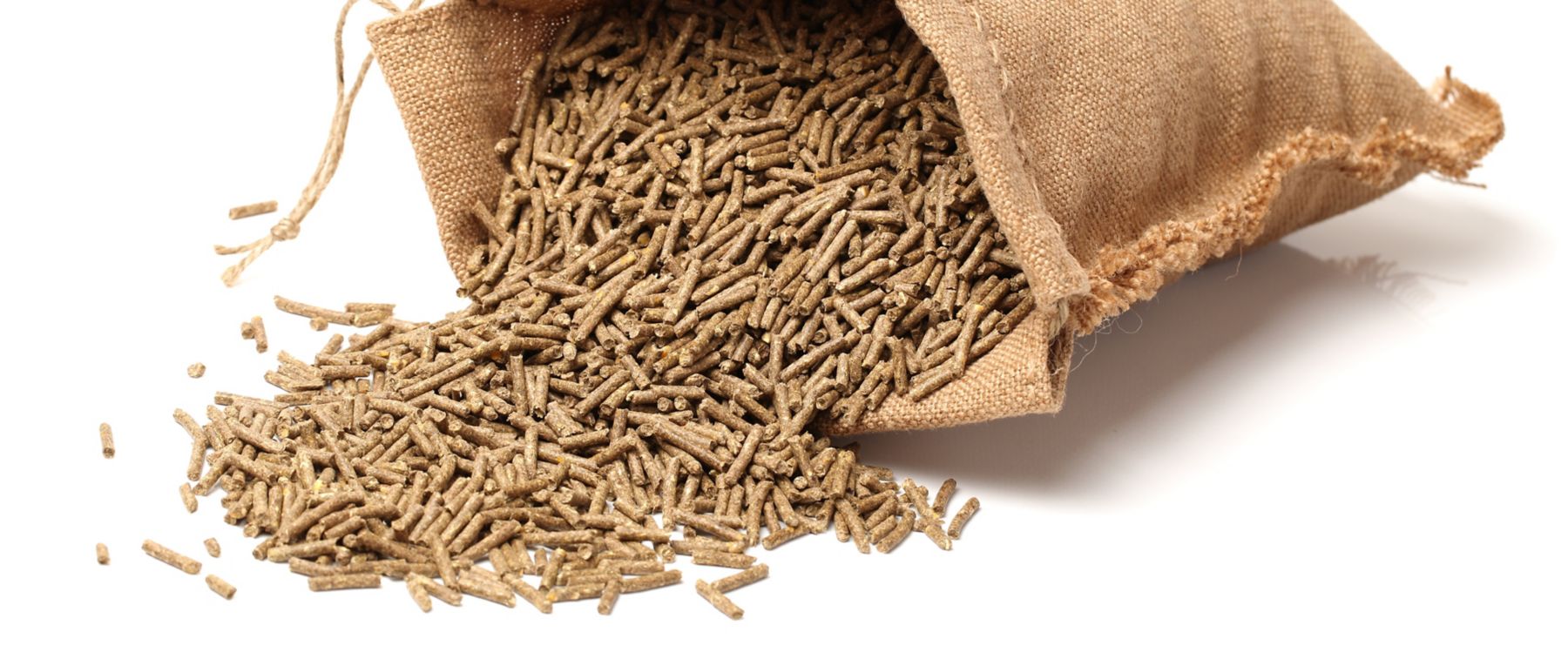 Kemin Speaks On EU's Denial Of Authorisation Of Formaldehyde In Feed ...