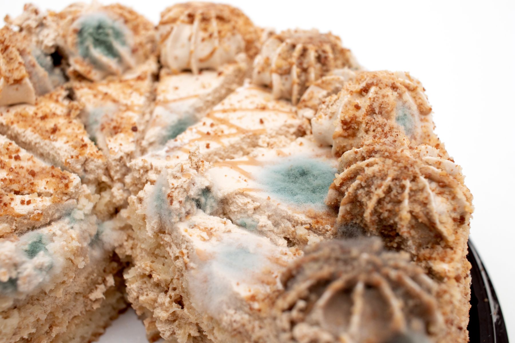 SHIELD® V Plus Dry | Alternative Solution to Potassium Sorbate in ...