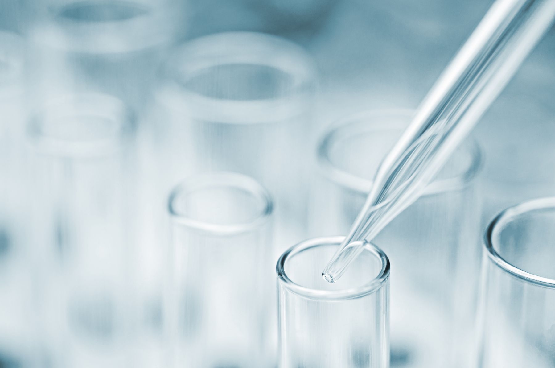 Food Safety Solutions