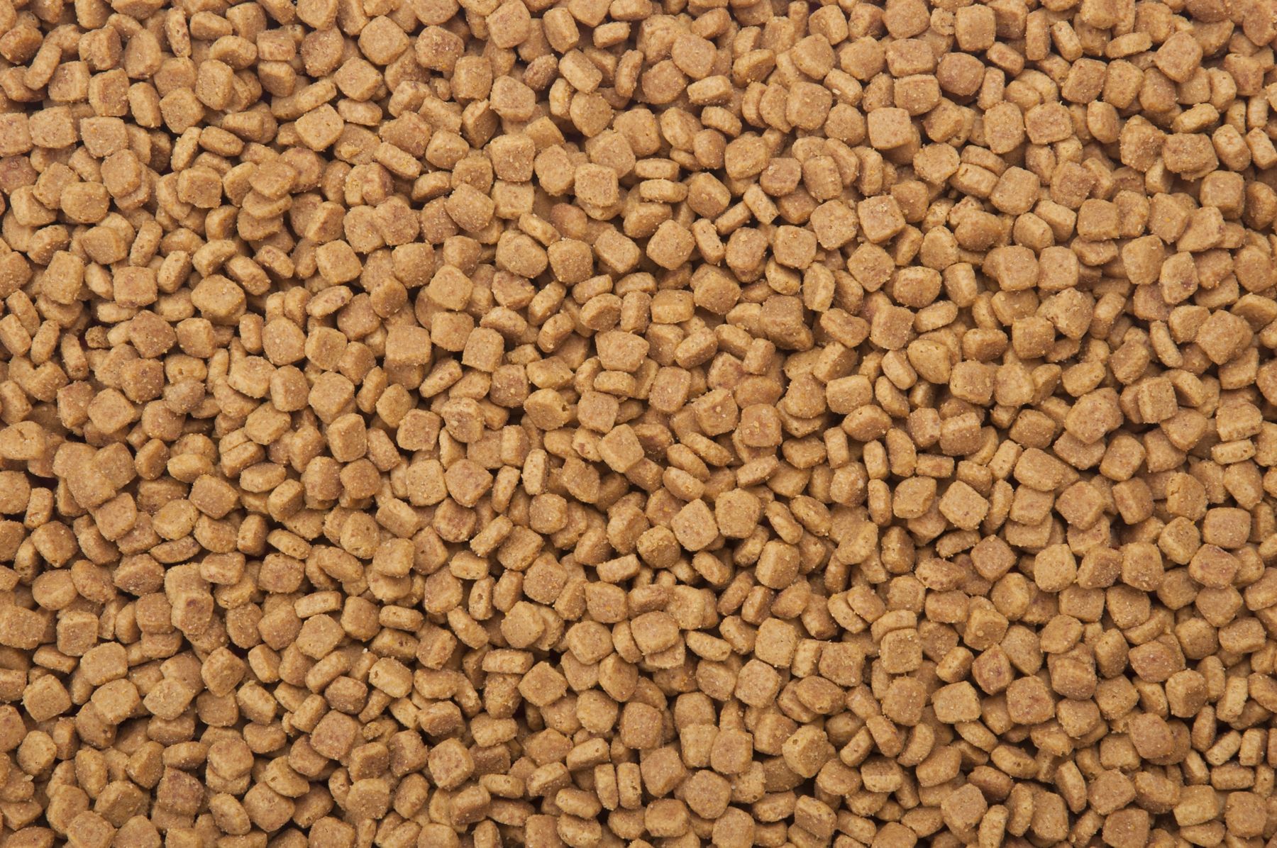Texture in Petfood Palatability