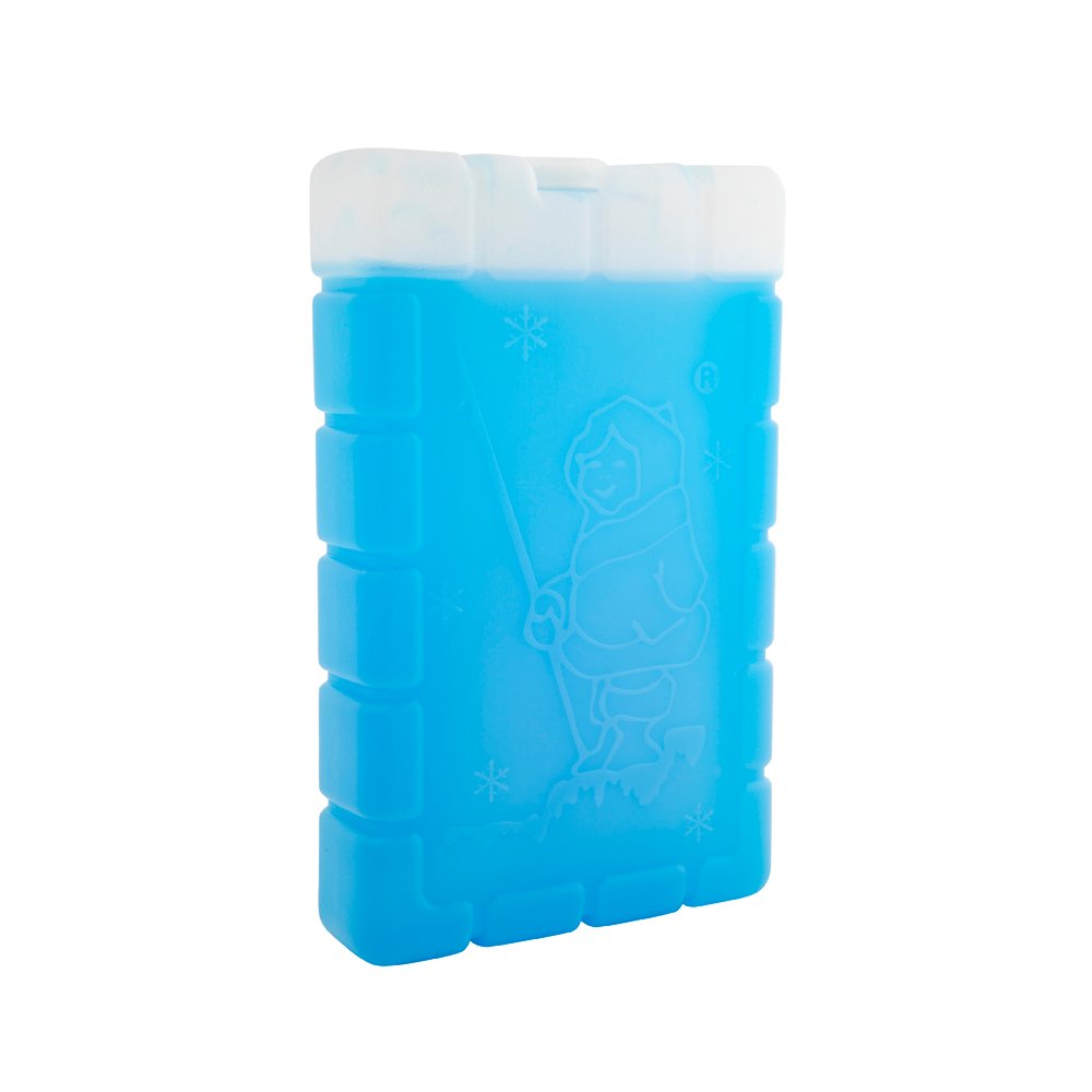 Esky Large Ice Brick | Esky