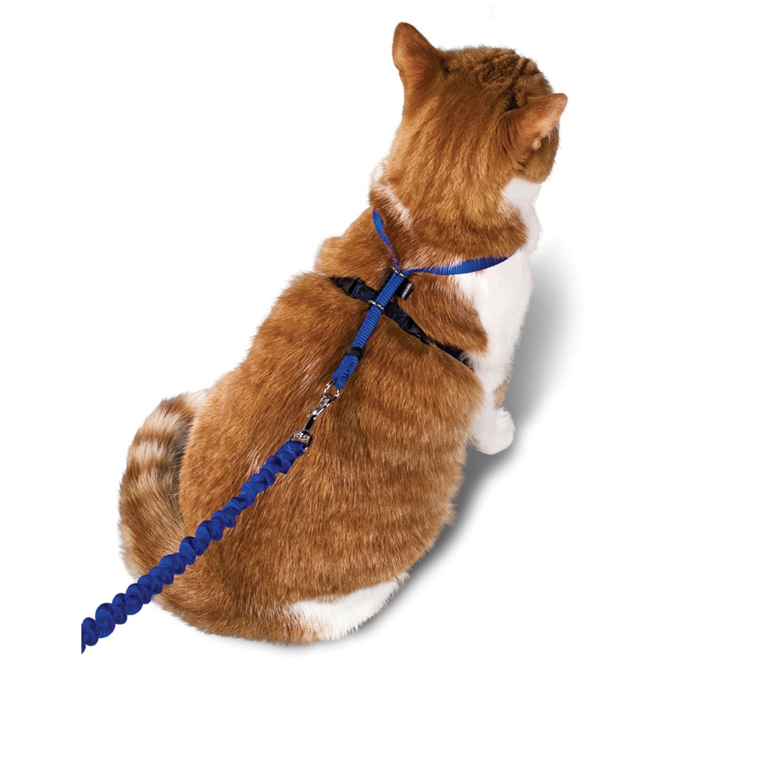 PetSafe Gentle Leader Come With Me Kitty Harness Bungee Leash In Blue 