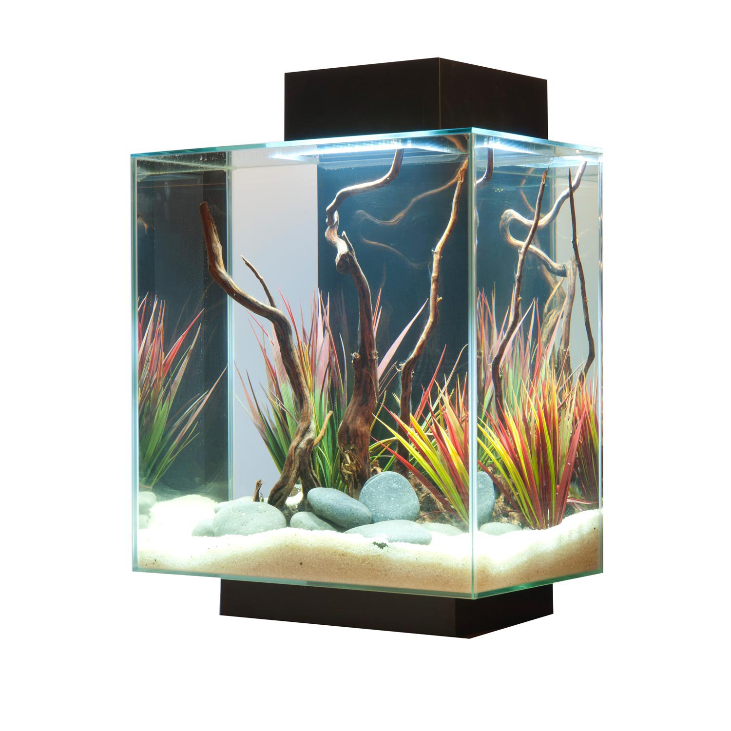 Fish Tanks: Saltwater & Freshwater Aquariums & Supplies | Petco