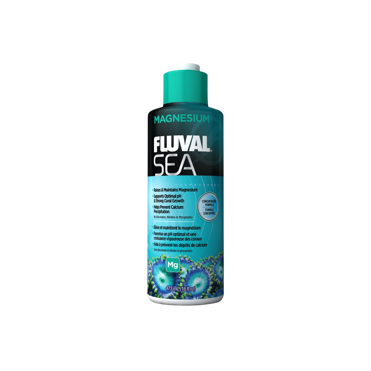 fluval