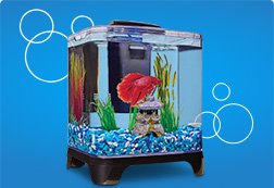 Fish Supplies: Fish Food, Fish Tanks, and More | Petco