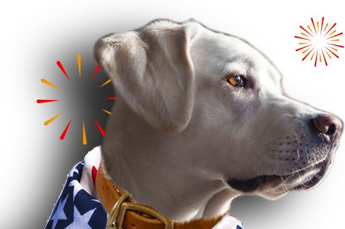 Pet Supplies, Pet Food, and Pet Products | Petco