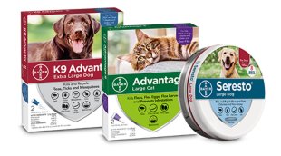 Pet Supplies, Pet Food, and Pet Products | Petco