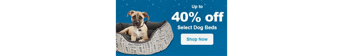 Penn Plax SpongeBob & Pineapple House Aquarium Ornament | Petco