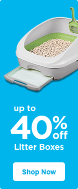 Cat Litter: Best Cat Litter & Reviews | Petco