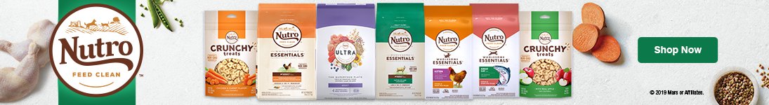 Nutro Cat & Dog Food Products | Petco