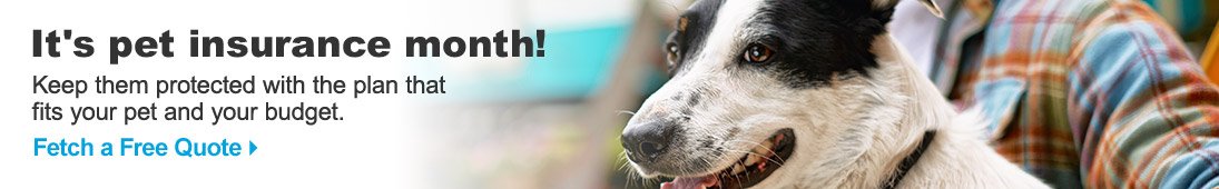 Pet Supplies, Pet Food, and Pet Products | Petco