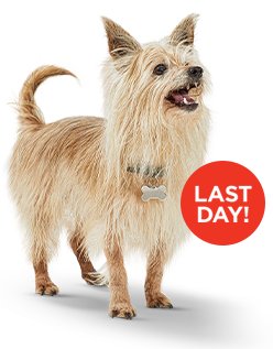 Pet Supplies, Pet Food, and Pet Products | Petco