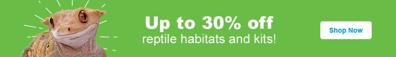 Reptile Store & Supply: Reptile Pet Shop & Supplies | Petco