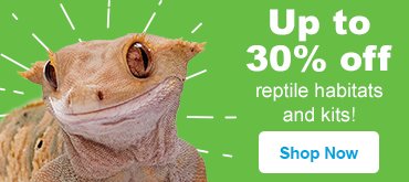Reptile Store & Supply: Reptile Pet Shop & Supplies | Petco