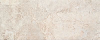 Warsaw White Ceramic Wall Tile - 8 x 20 in. - The Tile Shop
